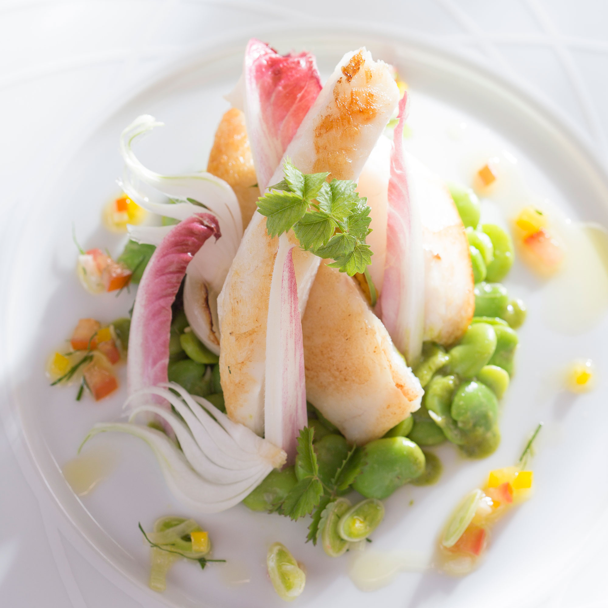 Recette : Filet de Saint-Pierre façon grenobloise, celtus - Arts ...