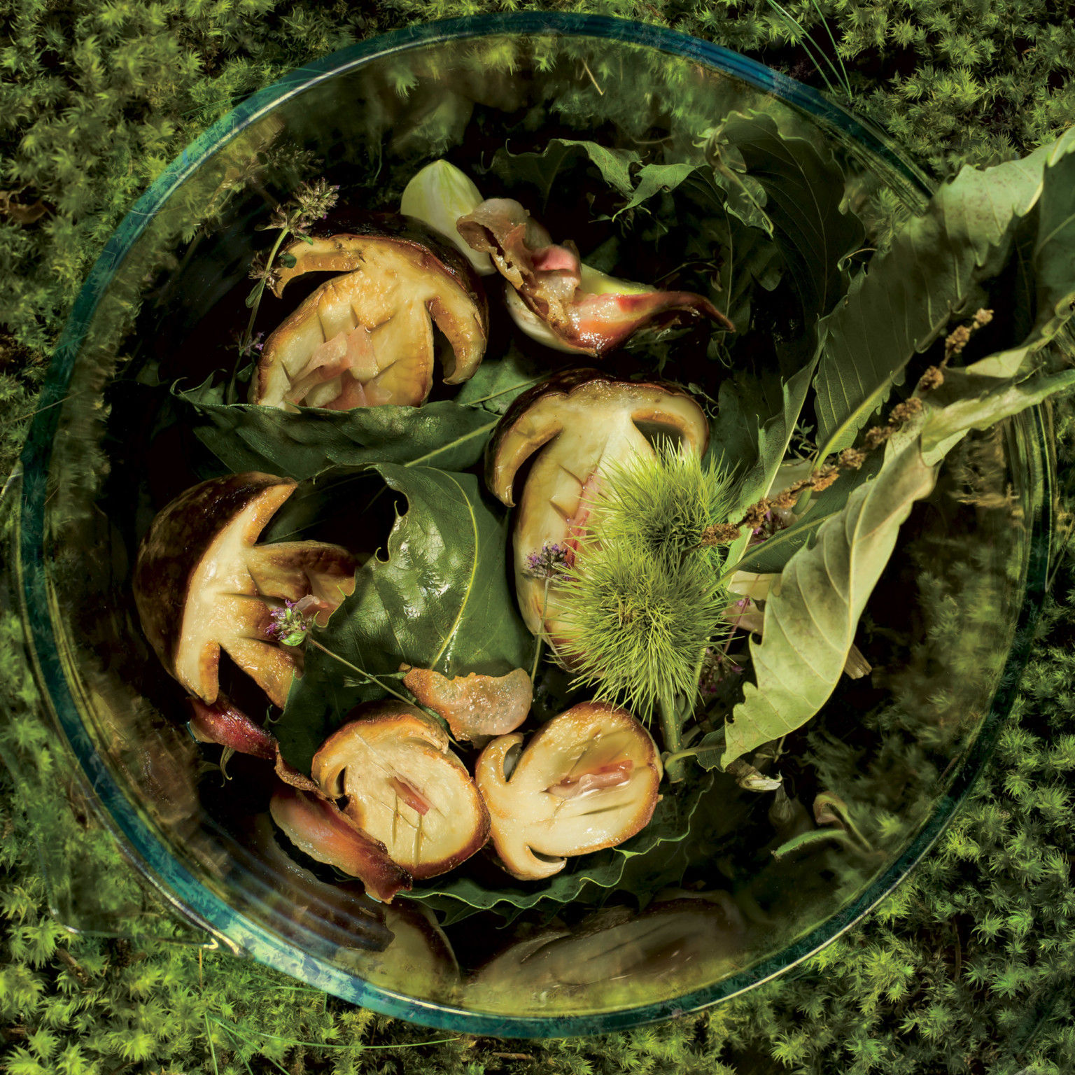 Régis et Jacques Marcon - Arts & Gastronomie