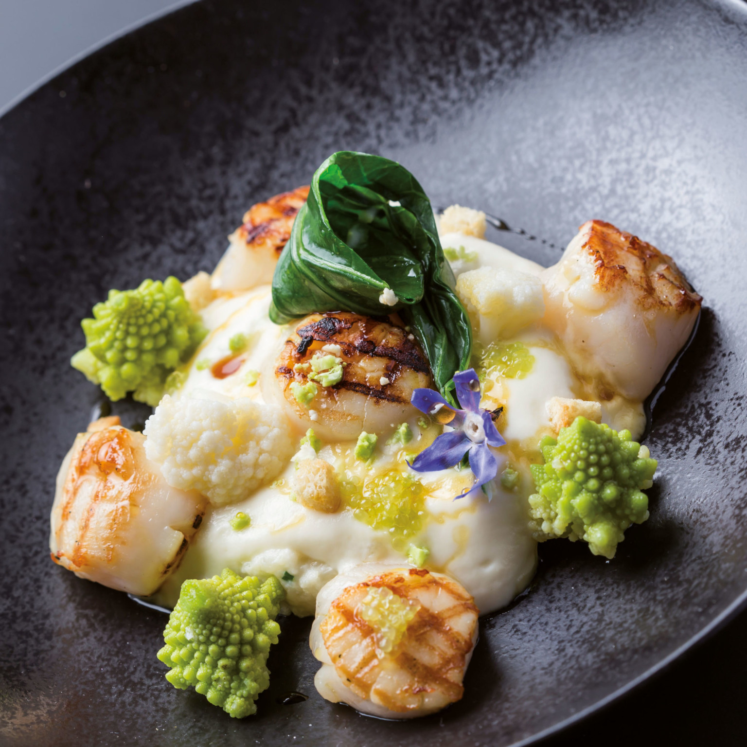 Recette : Noix de Saint-Jacques snackées chou / yuzu - Arts & Gastronomie