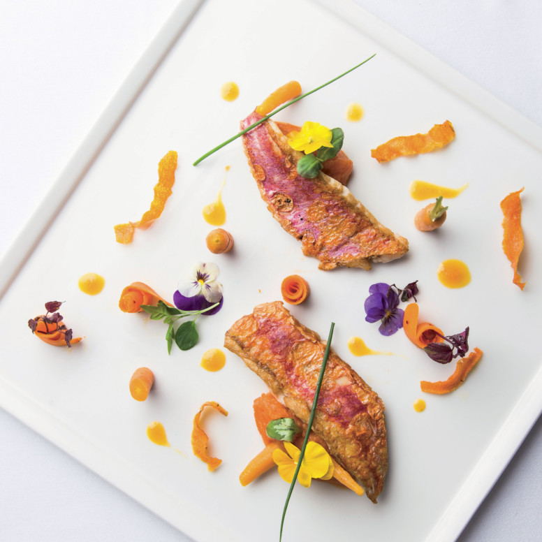 Recette : Filets de rouget à la provençale - Arts & Gastronomie