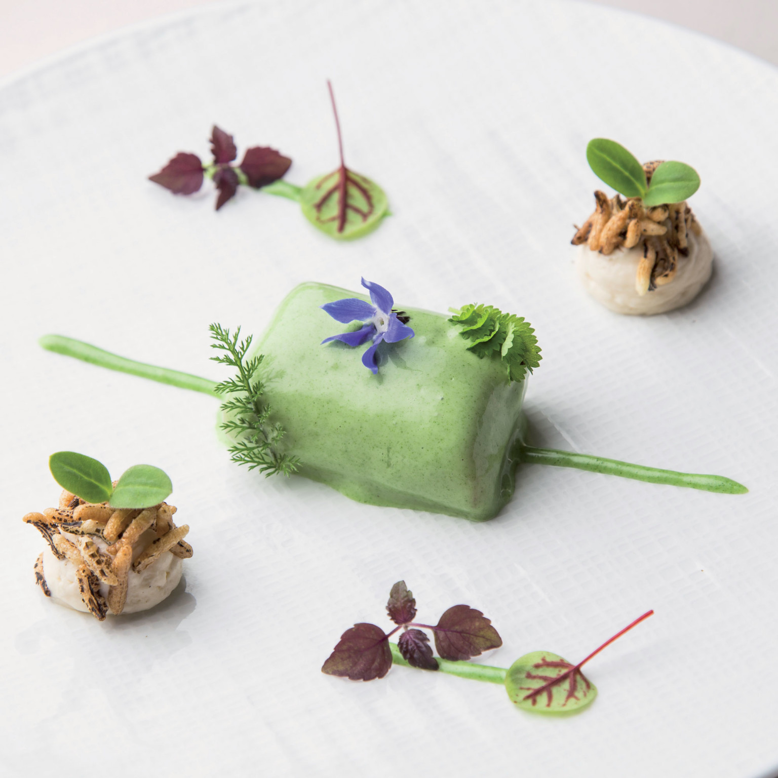 Recette : Truite gravlax - Arts & Gastronomie