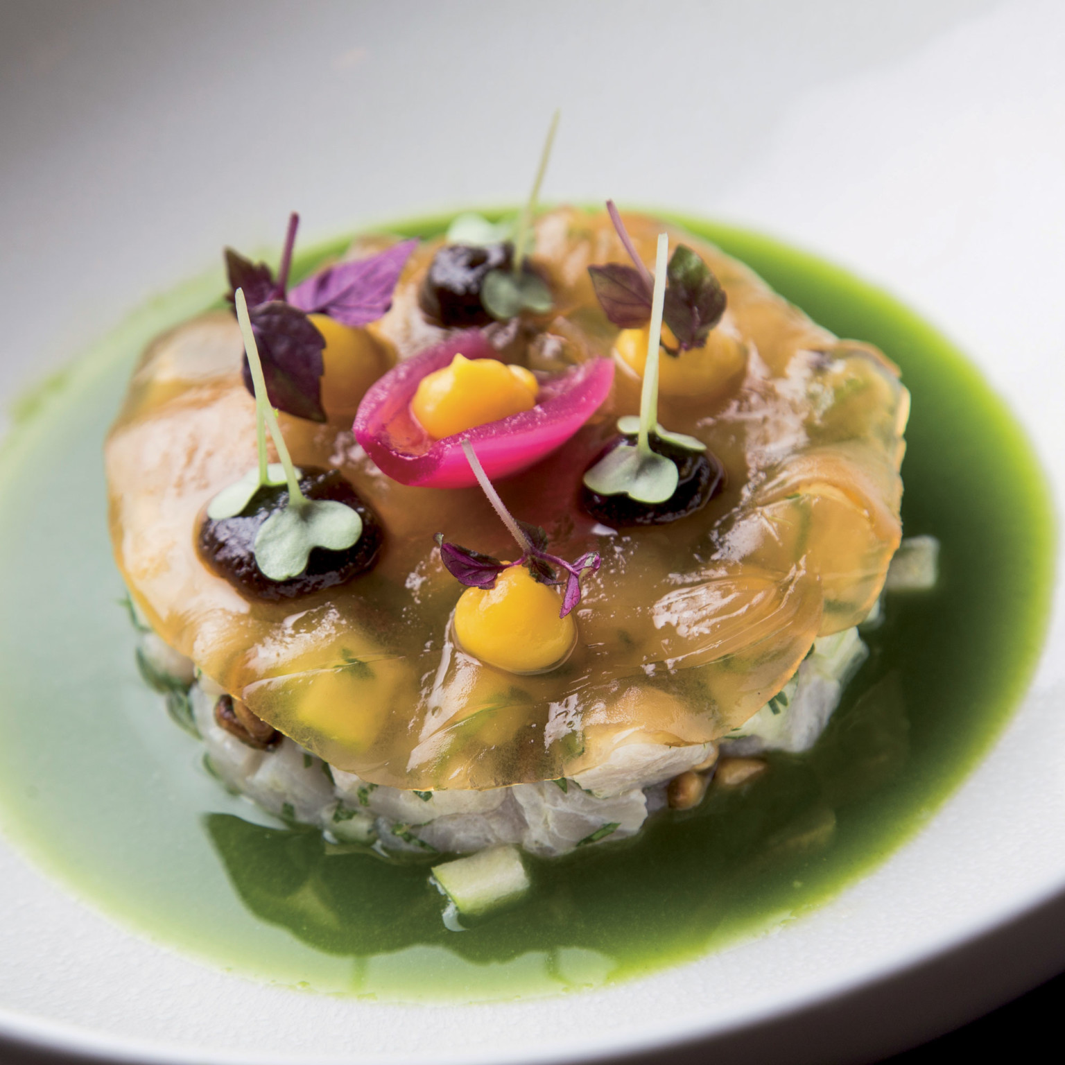 Recette : Ceviche de dorade, gelée yuzu - Arts & Gastronomie