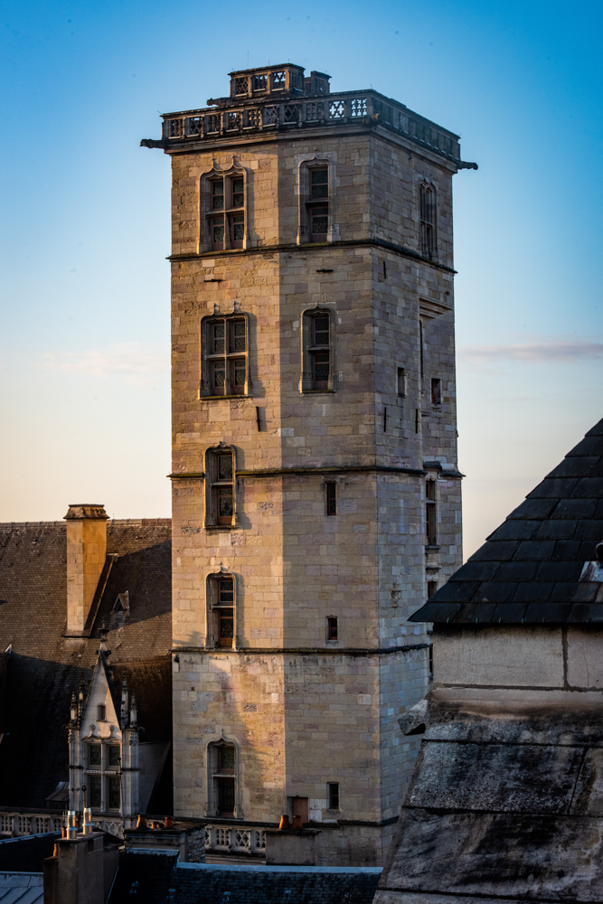 Que faire à Dijon en automne ? - Arts & Gastronomie