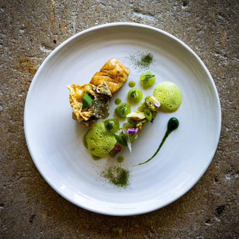 Recette : Tartare de bar, mangue et gingembre - Arts & Gastronomie
